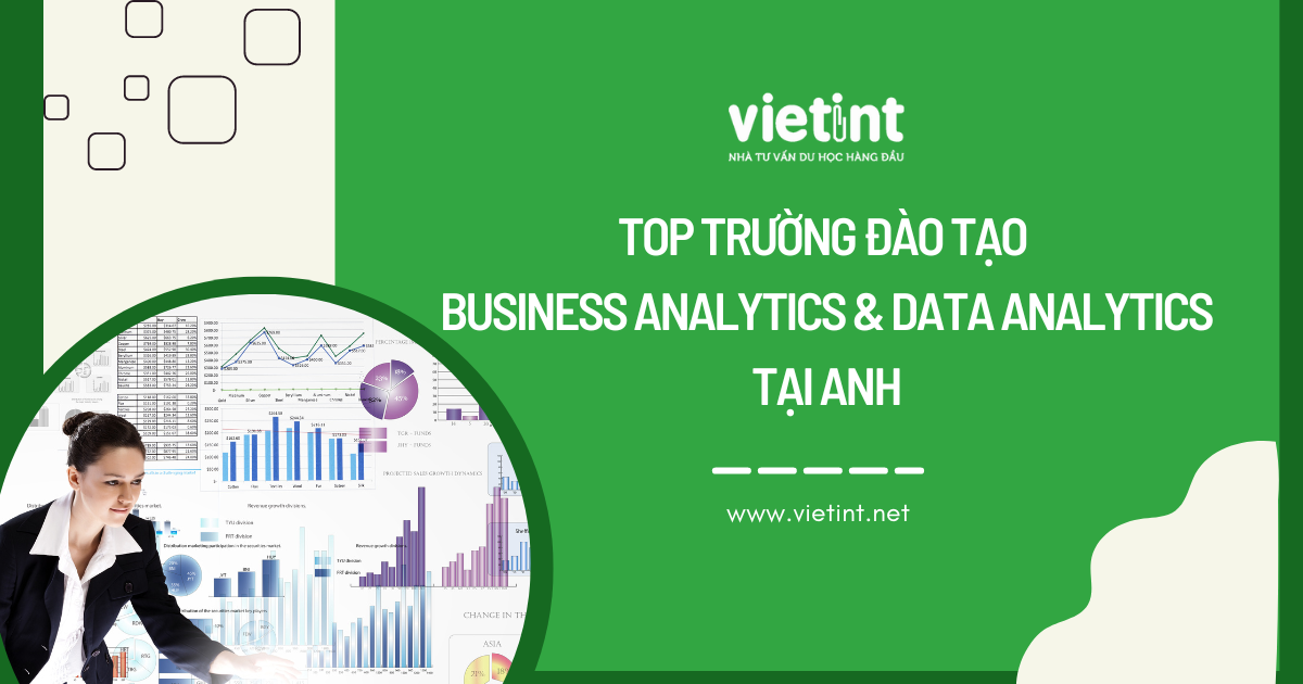 TOP trường đào tạo Business Analytics và Data Analytics tại Anh - VietInt